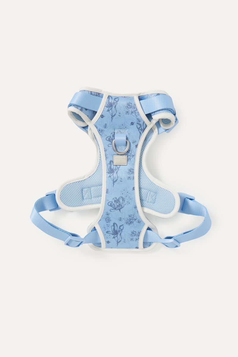 Bridgerton X Max Bone Walk Set For Dogs – BYMiT Wholesale